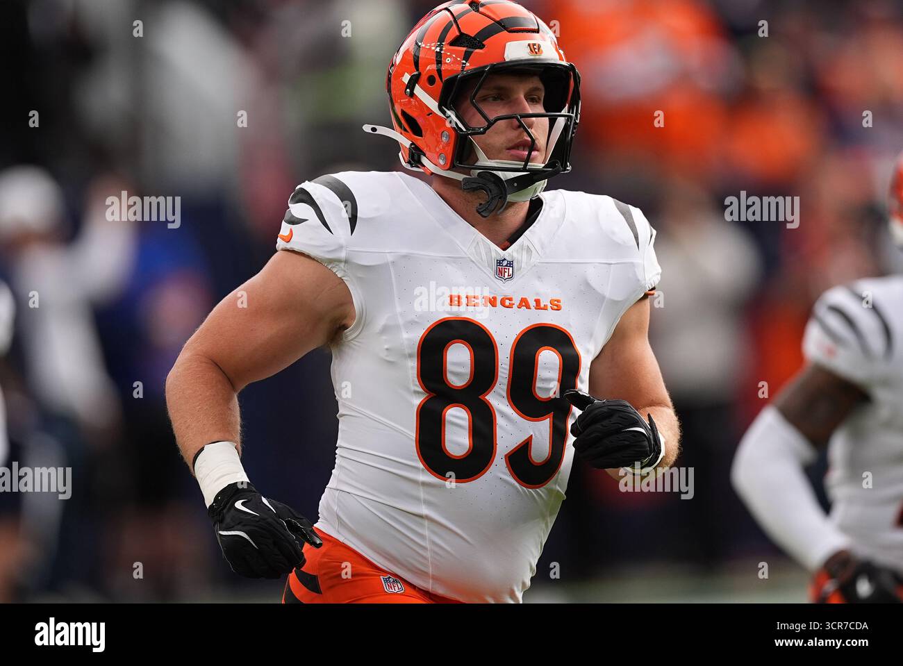Cincinnati Bengals tight end Drew Sample (89) warms up before an NFL ...
