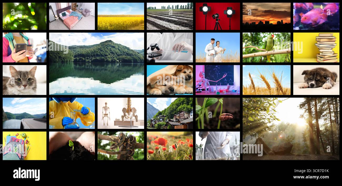Set of different pictures combined into collage. Banner design Stock ...