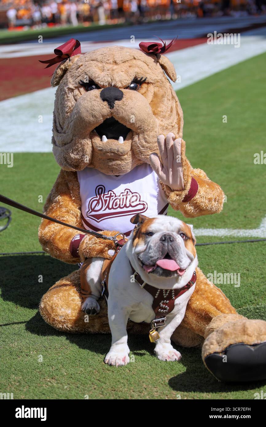 STARKVILLE, MS - SEPTEMBER 27: Mississippi State Bulldogs mascots during the college football ...