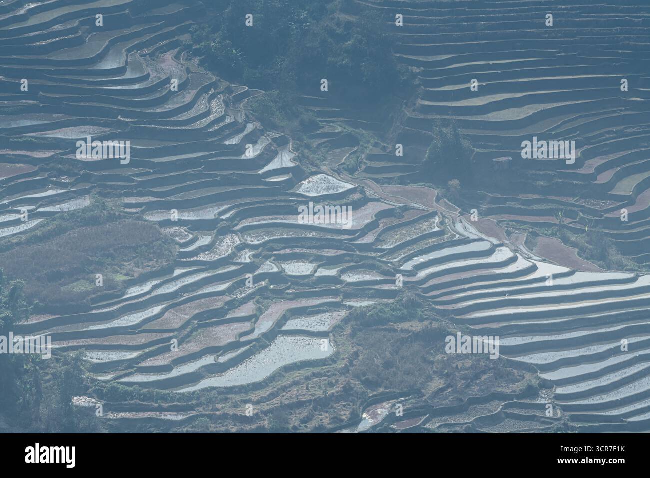 Close up sunset picture of Yuanyang rice terrace from Bada scenic area ...