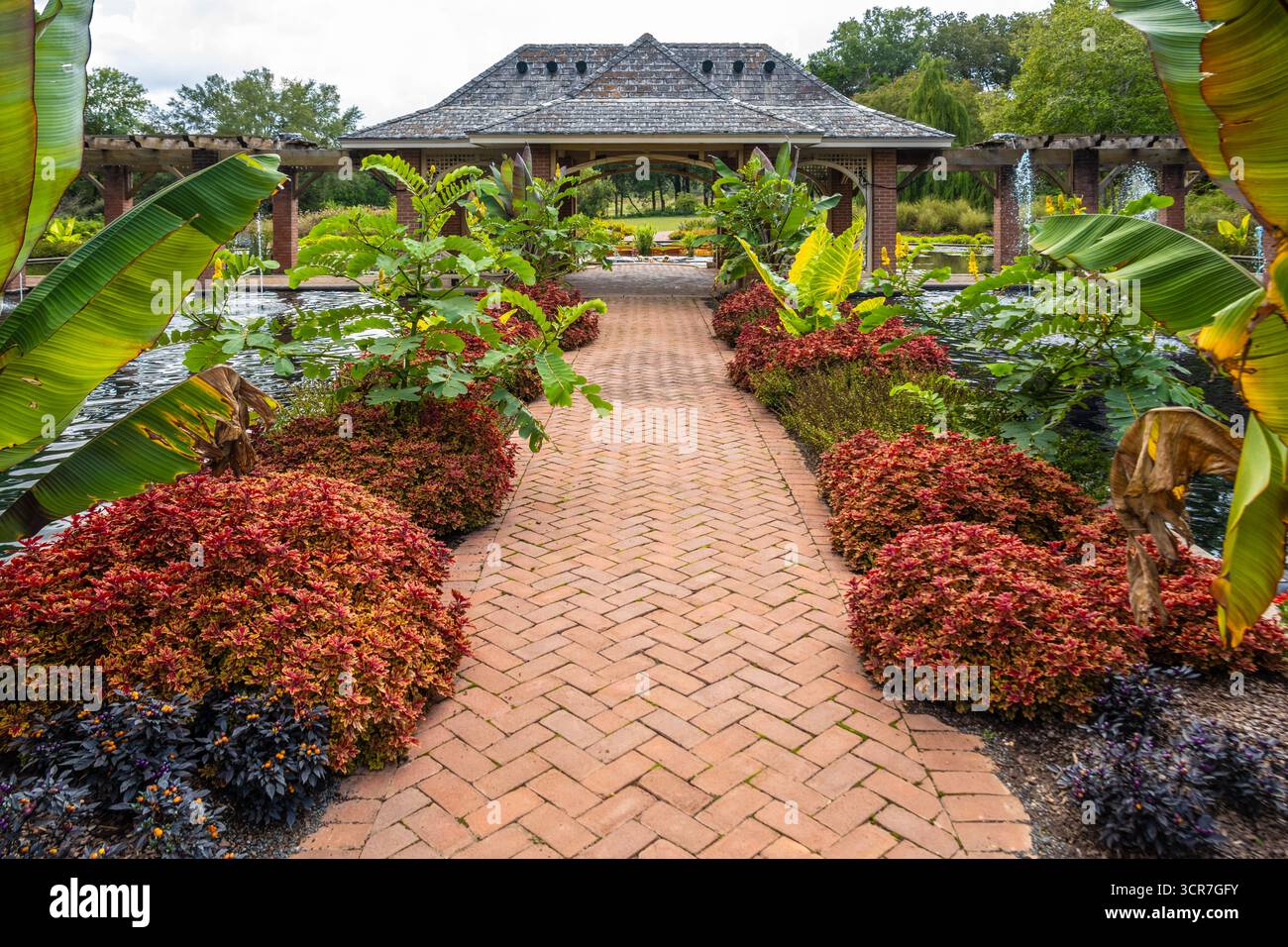 The beautiful Damson Aquatic Garden at the Huntsville Botanical Garden ...