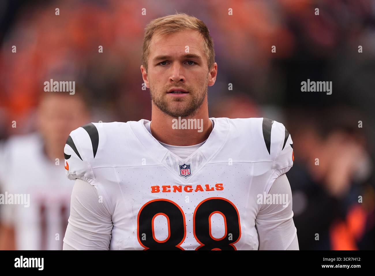 Cincinnati Bengals tight end Mike Gesicki (88) before an NFL football ...