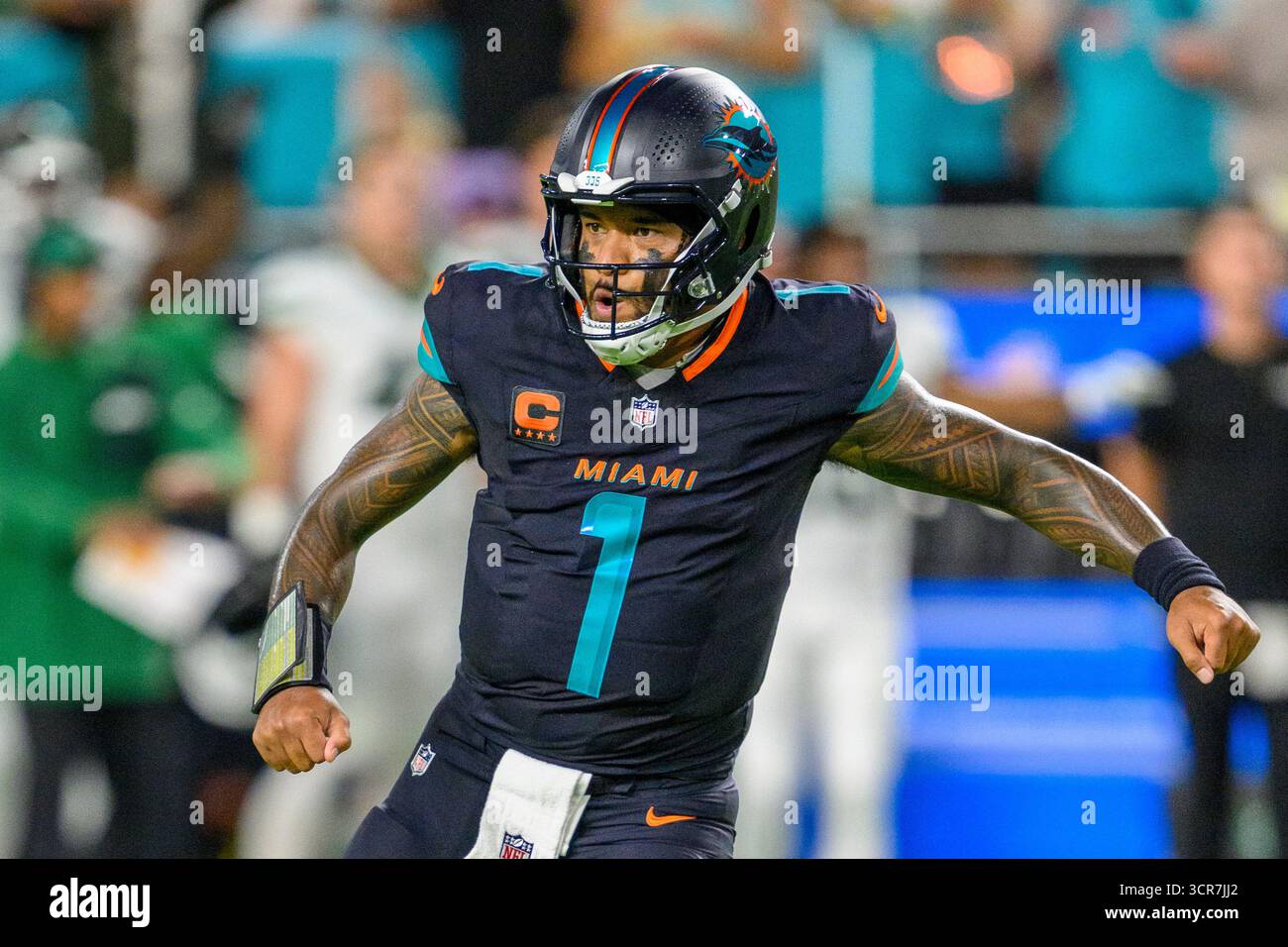 Miami Dolphins quarterback Tua Tagovailoa (1) celebrates tight end ...