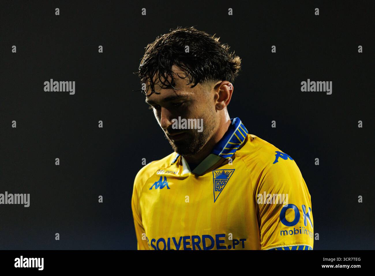 Jordan Holsgrove seen during Liga Portugal game between teams of GD ...