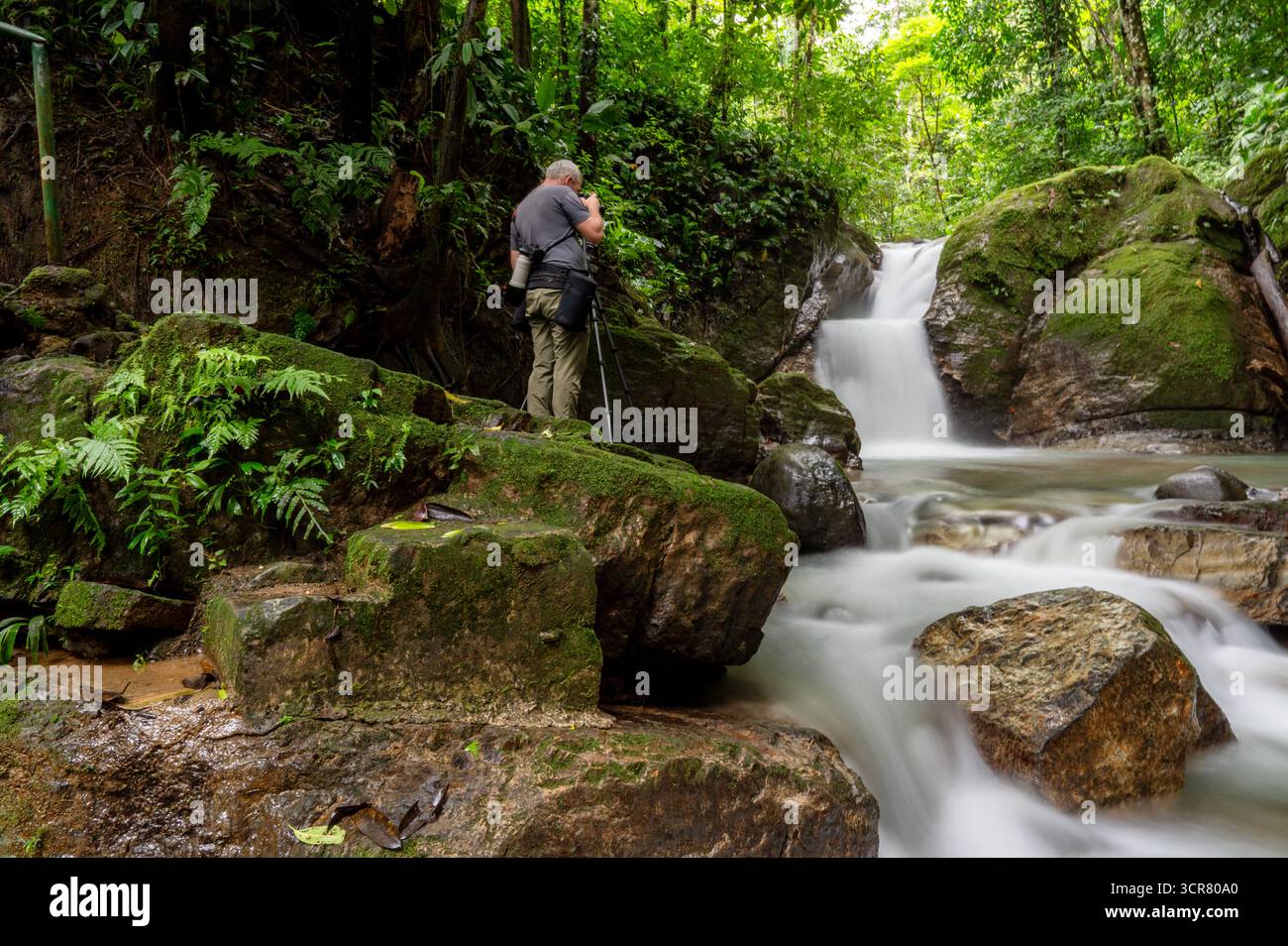 OJOCHAL, PUNTARENAS PROVINCE, COSTA RICA: A photographer at work at La ...