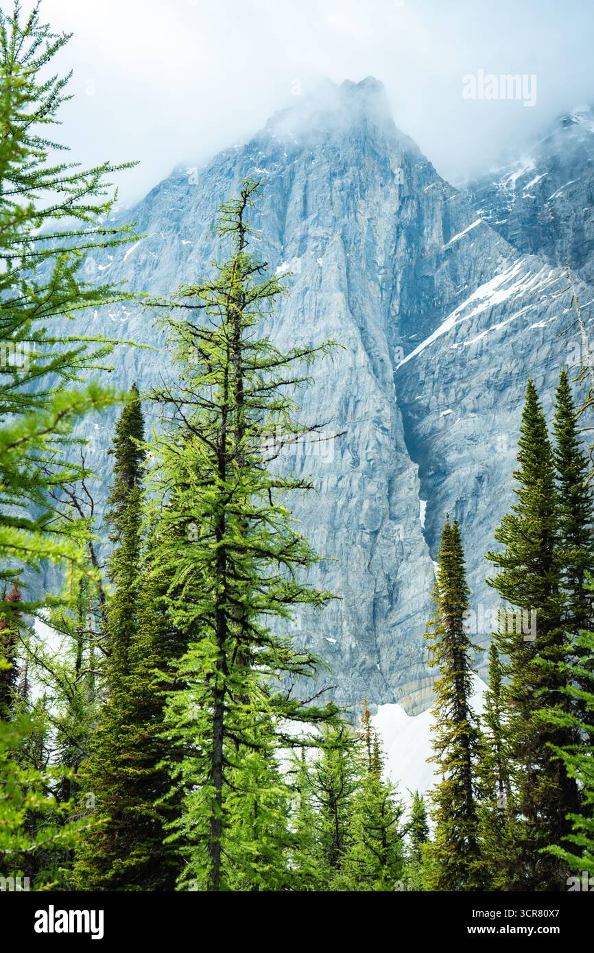 Majestic rock peak framed hi-res stock photography and images - Alamy
