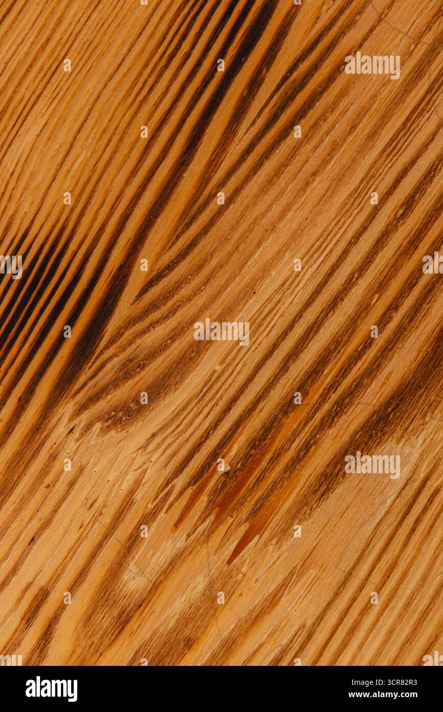 Close-up view of the intricate wood grain patterns showcasing various ...