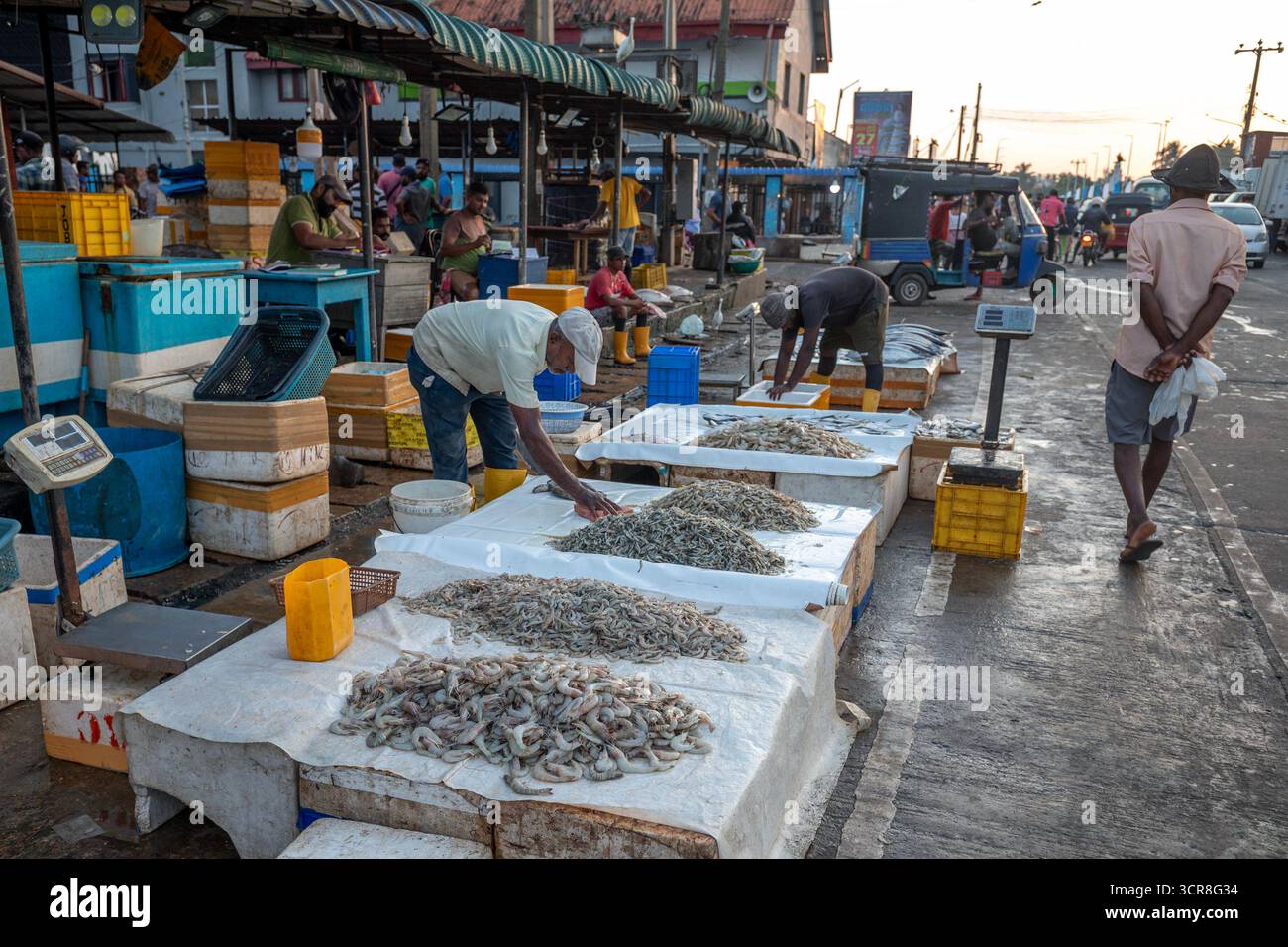 NEGOMBO, SRI LANKA - JULY 22, 2024 : A fishmonger arranges a table of ...