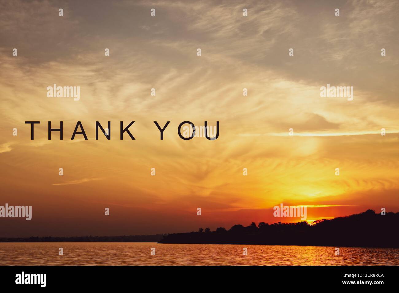 Thank you card design with words against landscape at sunset Stock ...