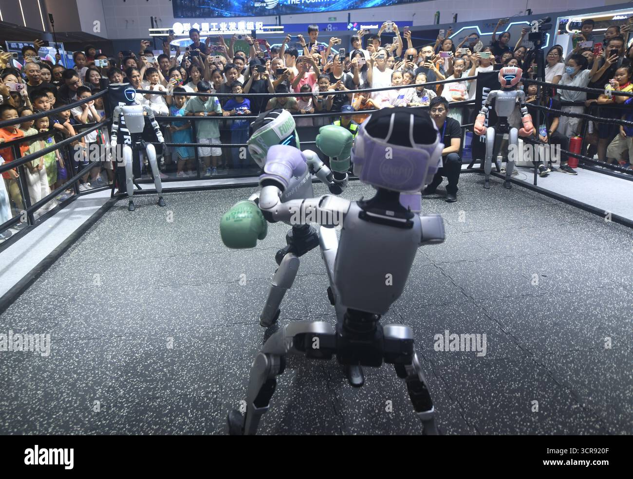 Visitors watch a humanoid robot boxing competition at the 4th Global ...