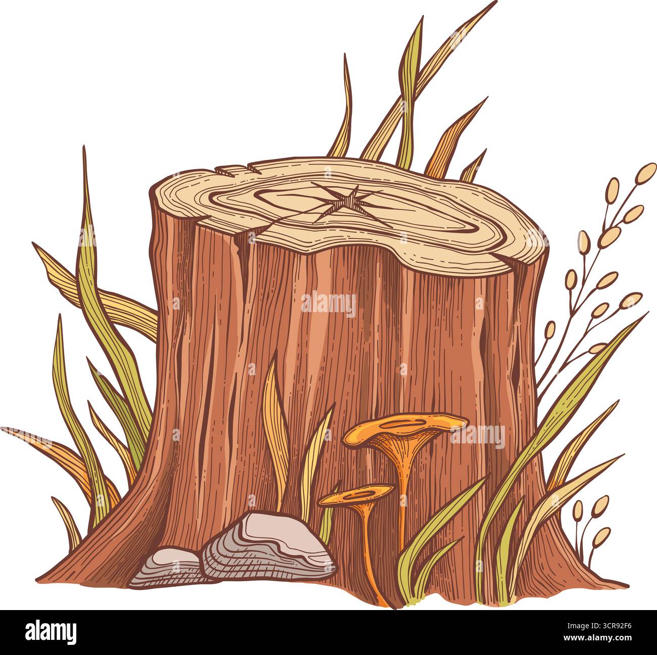 Hand drawn vector autumn elements. Fall leaves, mushrooms, maple ...