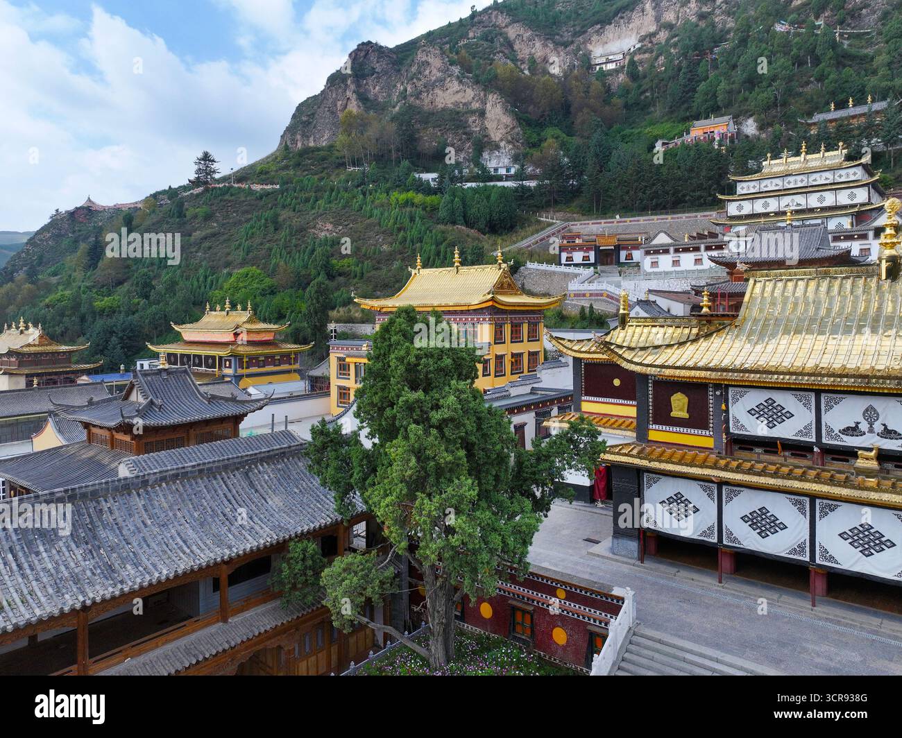 Longwang mountain hi-res stock photography and images - Alamy