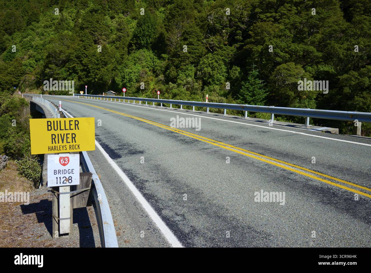 Road leads over bridge at Buller River, surrounded by forest and ...