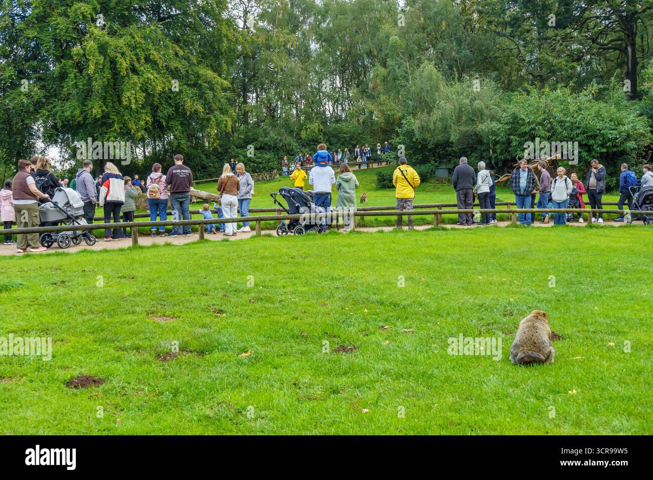 Stoke-on-Trent, UK. 28 September 2025. Visitors watching Barbary ...