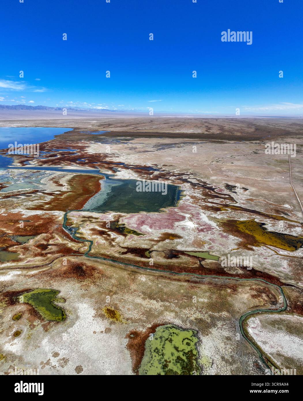 Xiaosugan lake nature reserve hi-res stock photography and images - Alamy