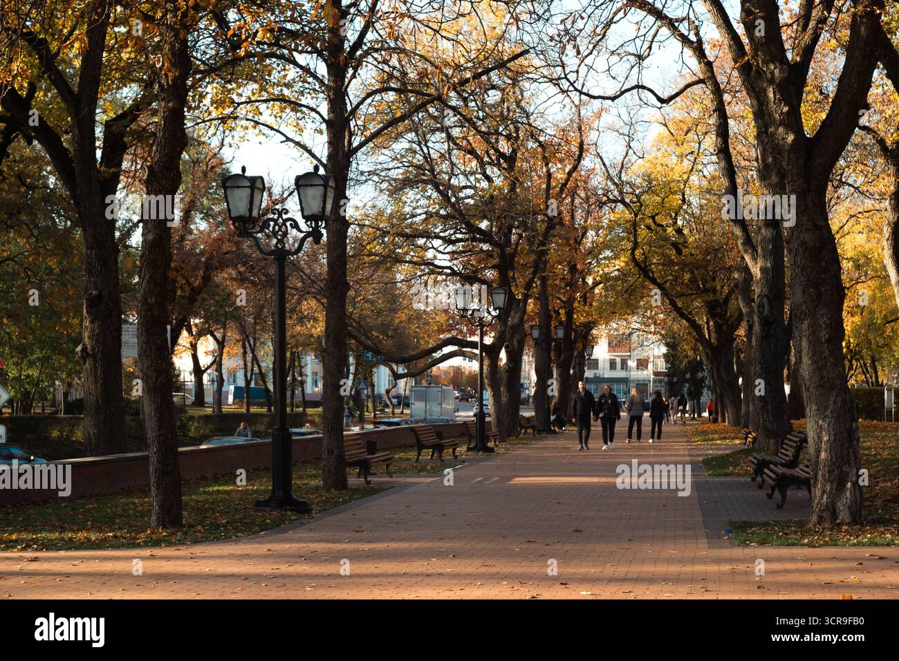 Autumn Promenade: Tree-Lined Park Pathway with Vintage Lamps Stock ...