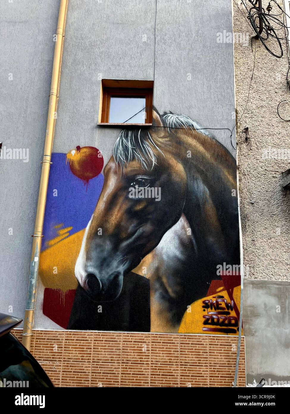 Eyes like stories, posture like poetry — the horse stands still, yet ...