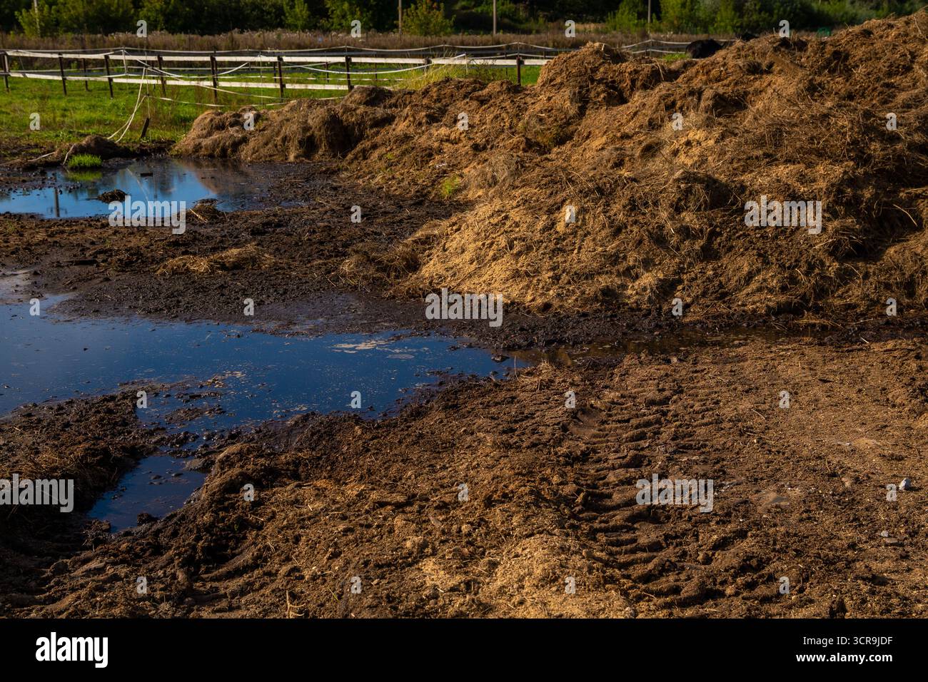 Manure for garden hi-res stock photography and images - Alamy