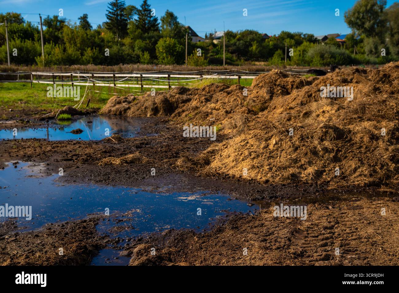 Pile of manure on a farm next to a puddle Stock Photo - Alamy