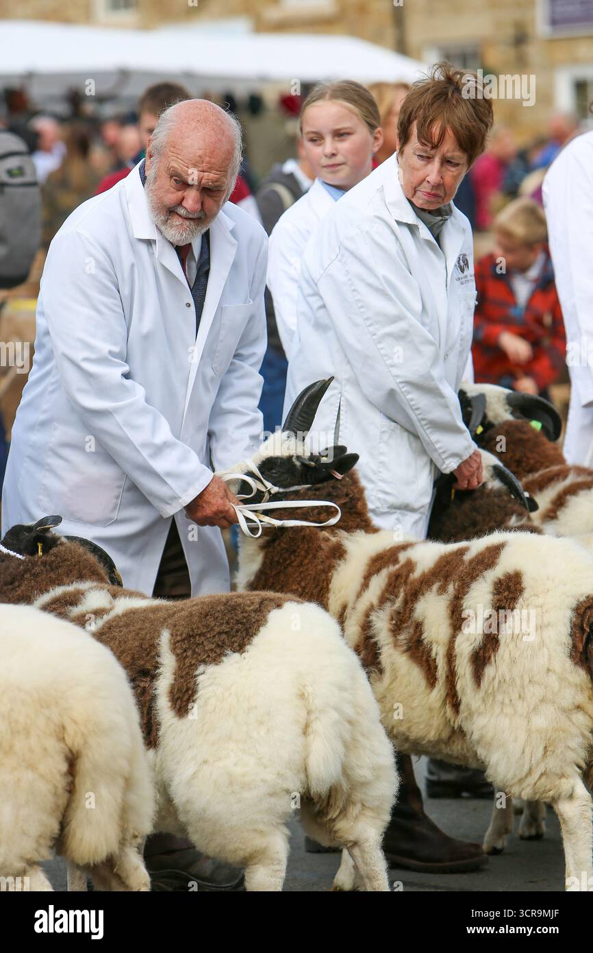 40th Masham Sheep Fair, North Yorkshire 2025 Stock Photo - Alamy
