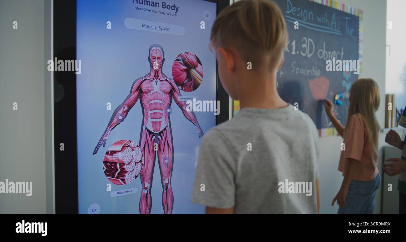 Boy in Class Studies Human Skeleton and Organ System on Large Digital ...