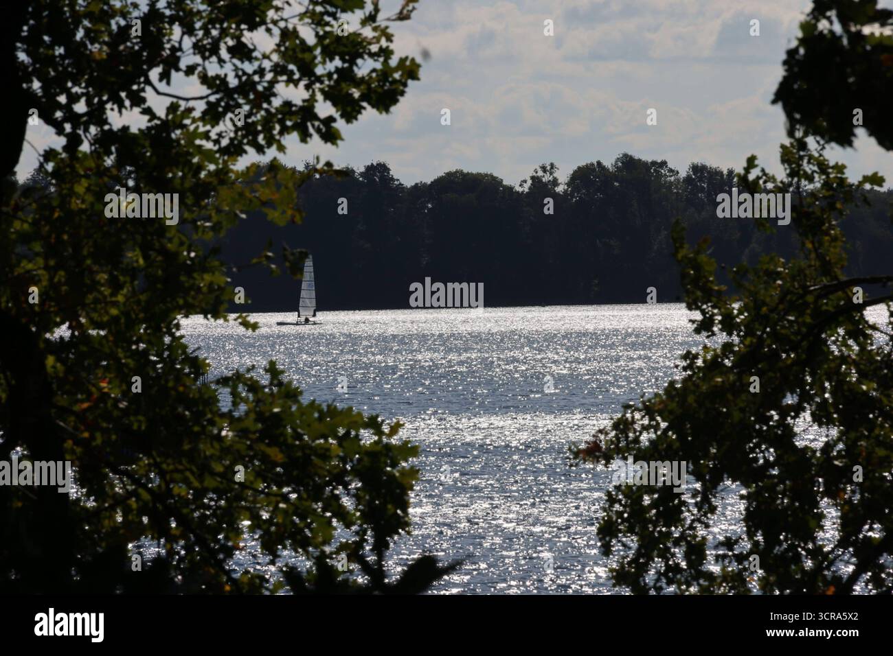 Bundeskabinett und Bundeskanzler Merz 30.09.2025, Germany, Berlin ...
