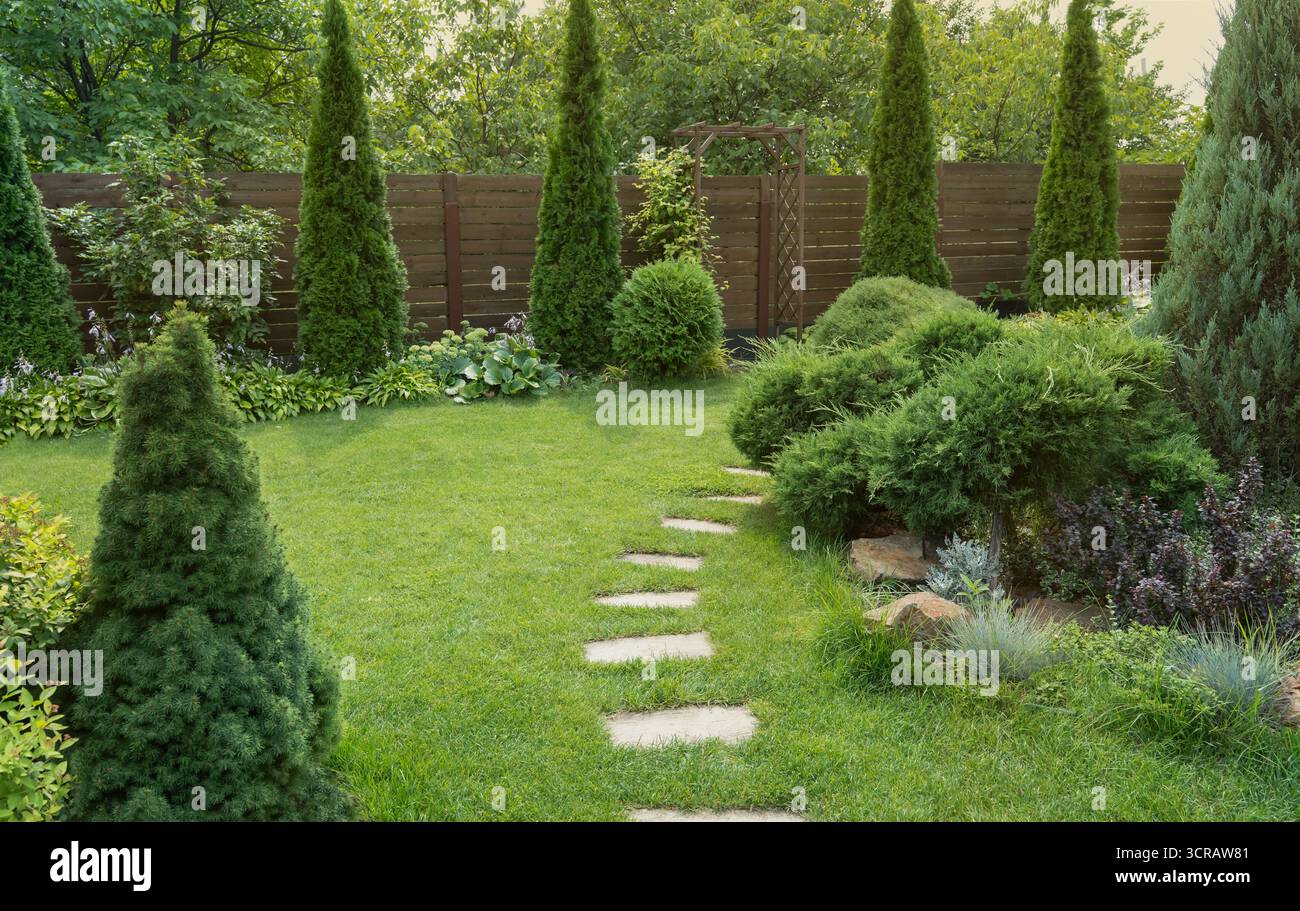 Beautiful landscaped backyard garden with evergreen plants, lawn and ...