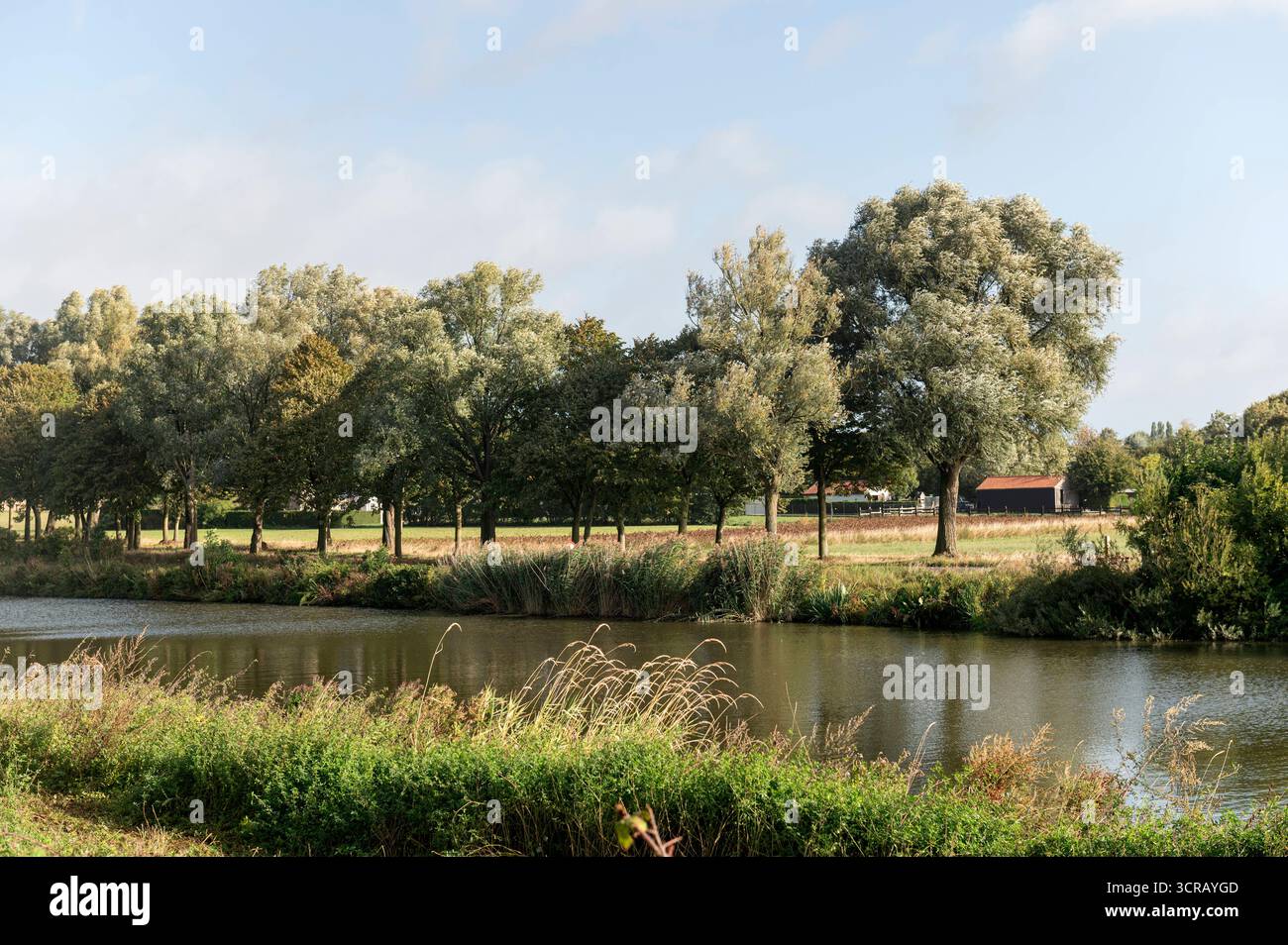 Moen Belgium September 2025 Autumn colours of the trees lining the ...