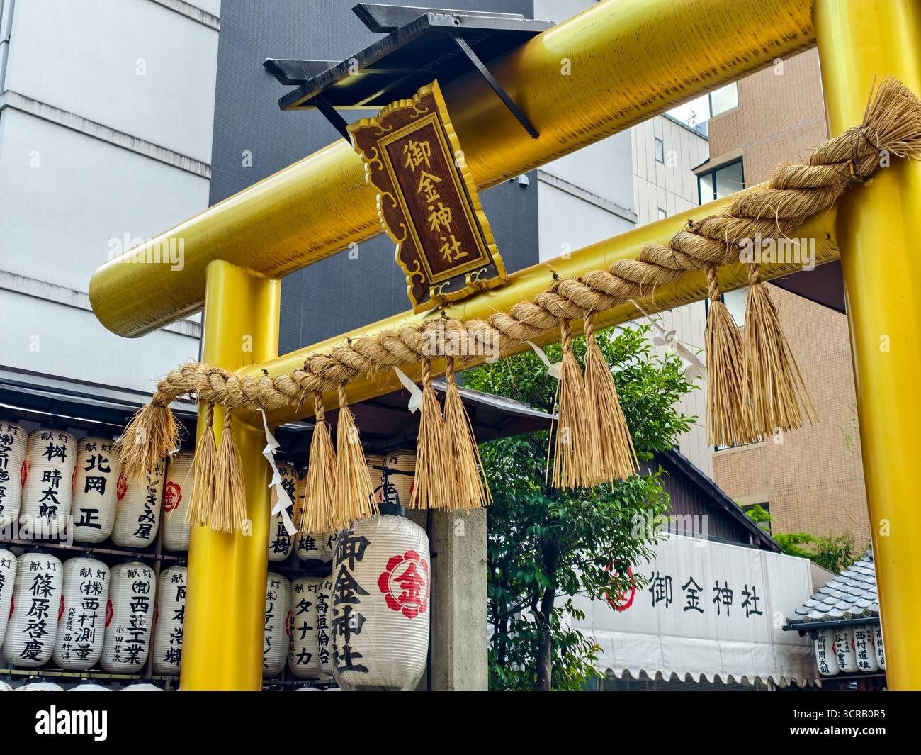 Kyoto, Japan. Unique golden torii gate of Mikane Shrine, a popular ...