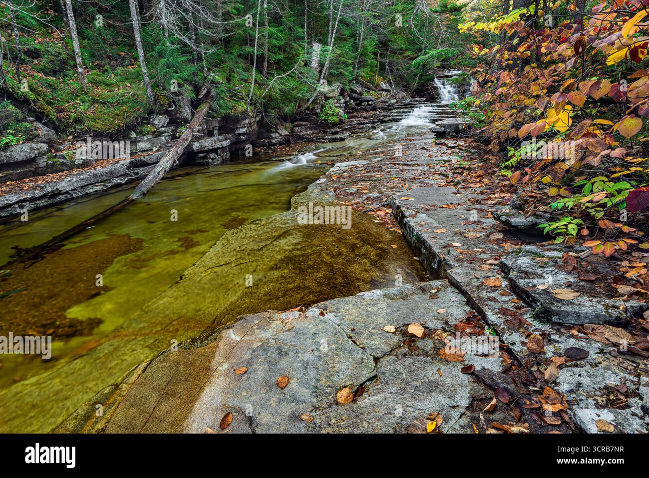 Bemis brook trail hi-res stock photography and images - Alamy
