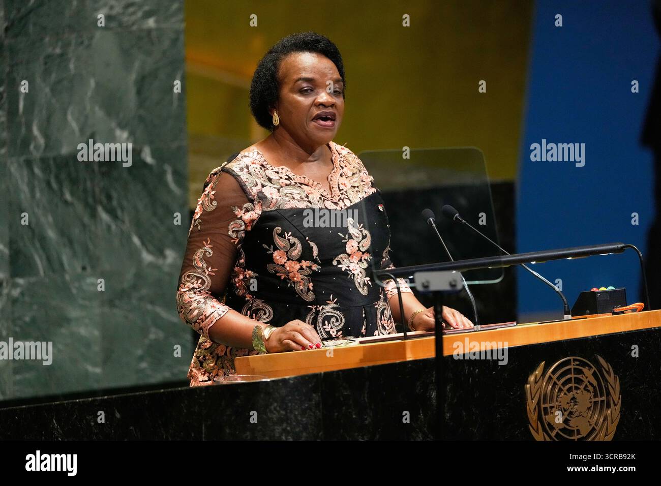 Agnes Mary Chimbiri-Molande, Malawi's ambassador to the United Nations ...