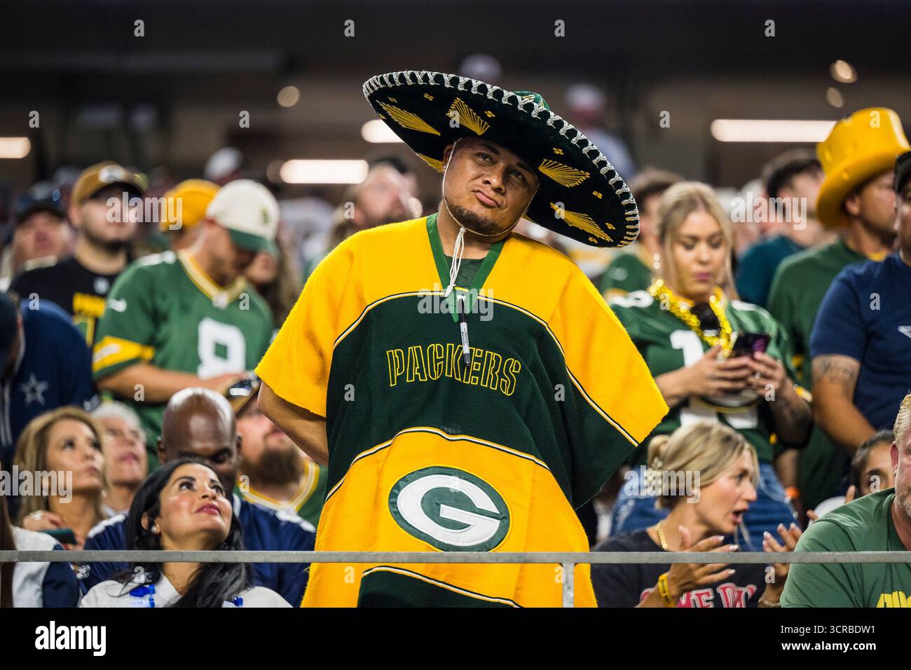 A Green Bay Packers fan reacts during an NFL football game against the ...