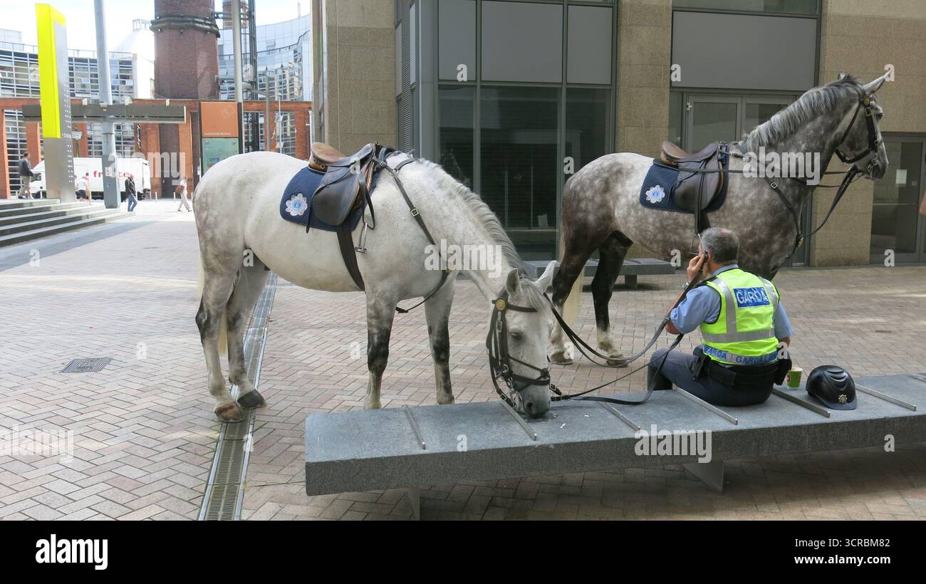 Dublin, Ireland - 01st July 2014 - A Garda Officer from the Horse ...