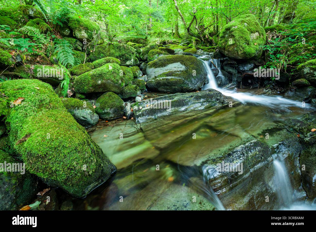 Waterfall on Barrow Beck near Keswick, Lake District National Park ...