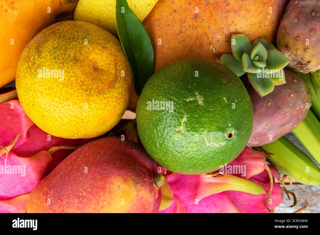 Assorted tropical fruits including mango hi-res stock photography and ...