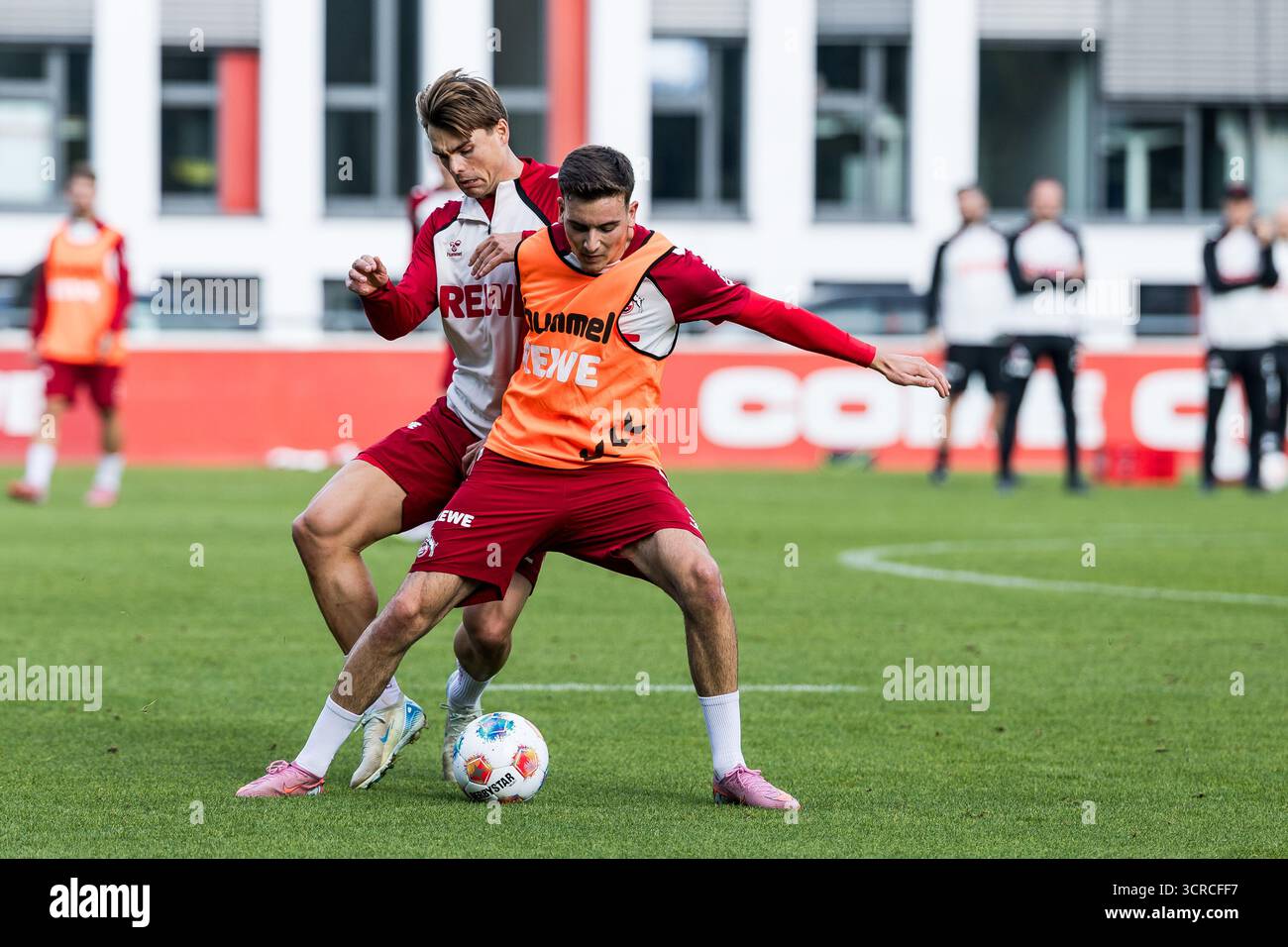 Zweikampf Joel Schmied (1. FC K?ln, 2), Said El Mala (1. FC K?ln, 13) Training 1. FC K?ln ...