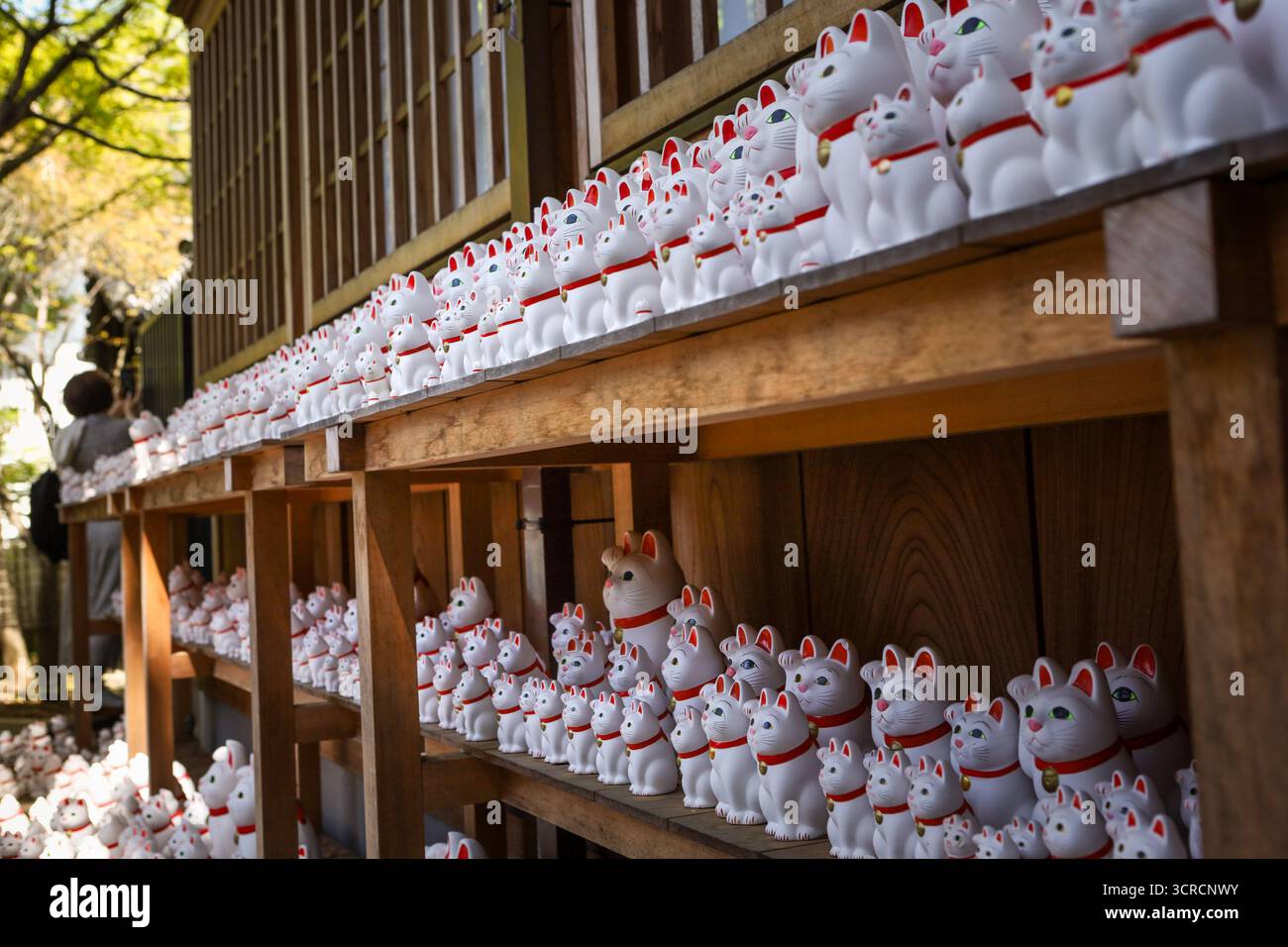 Rows of maneki neko cat statues in front of Gotokuji temple, Tokyo ...