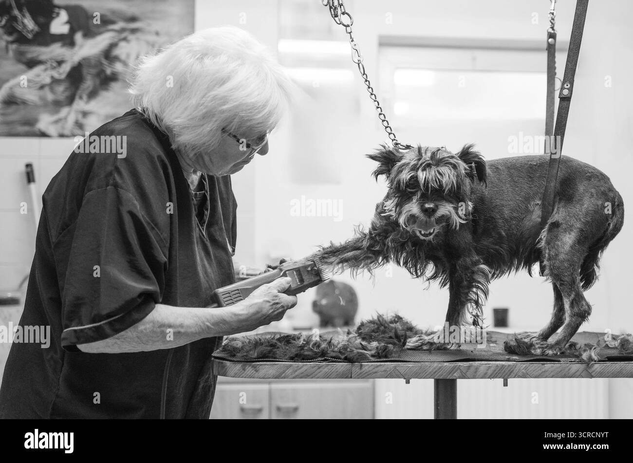 Regular tasks Black and White Stock Photos & Images - Alamy