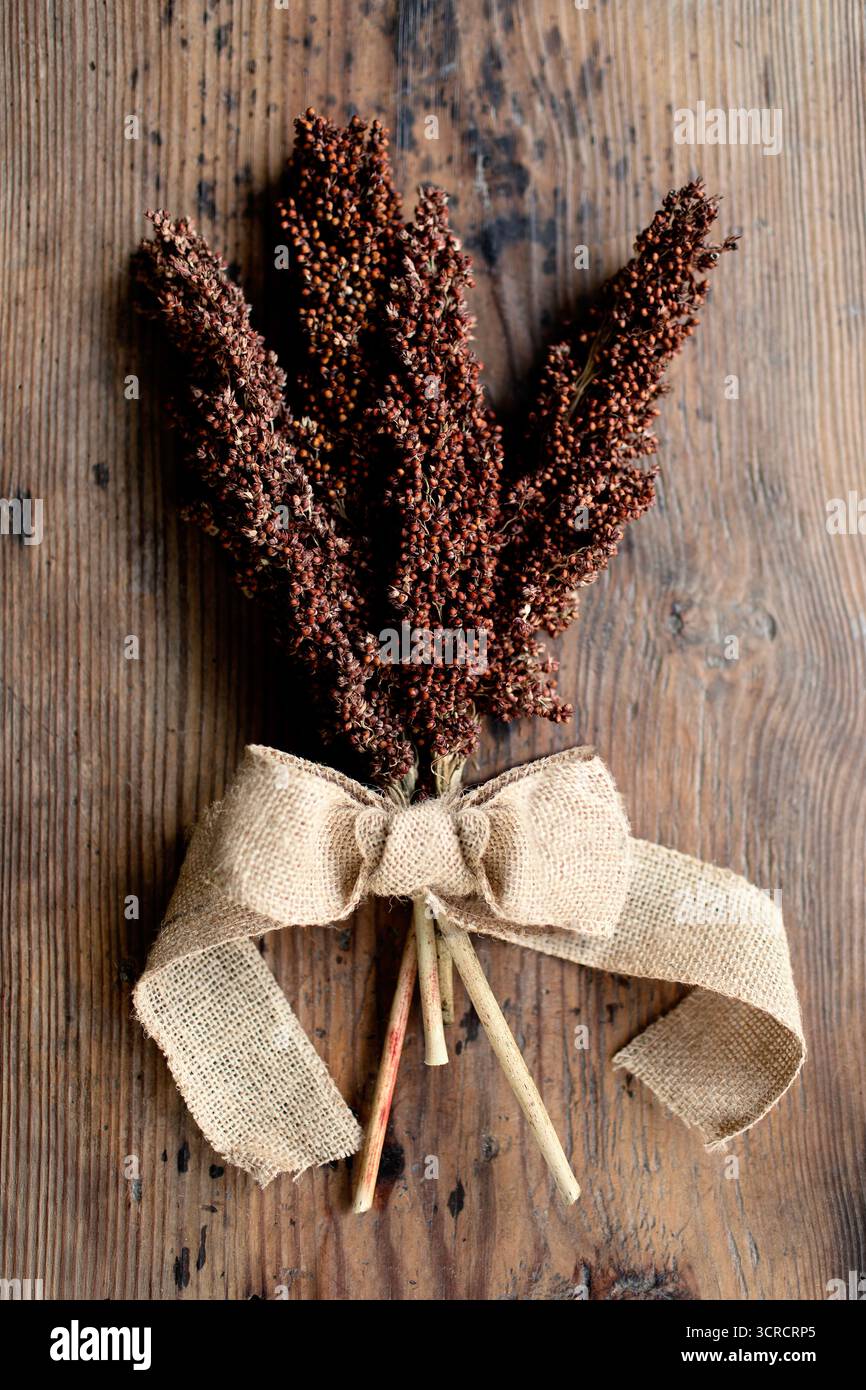Dried harvest boquet hi-res stock photography and images - Alamy