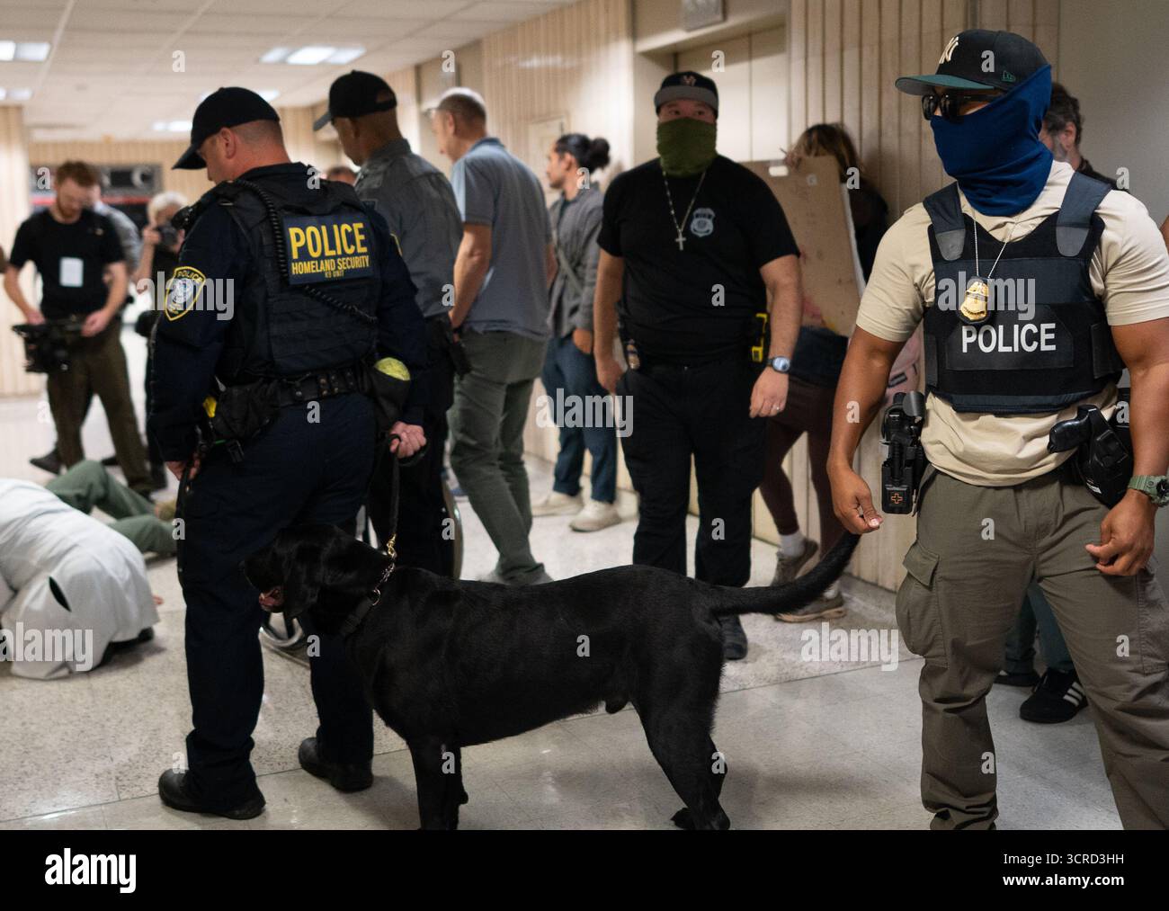 Federal agents watch as journalist L. Vural Elibol receives medical ...
