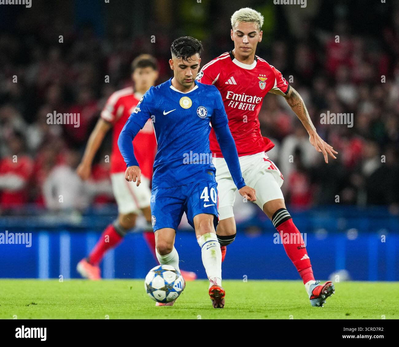 during the UEFA Champions League match Chelsea vs Benfica at Stamford ...