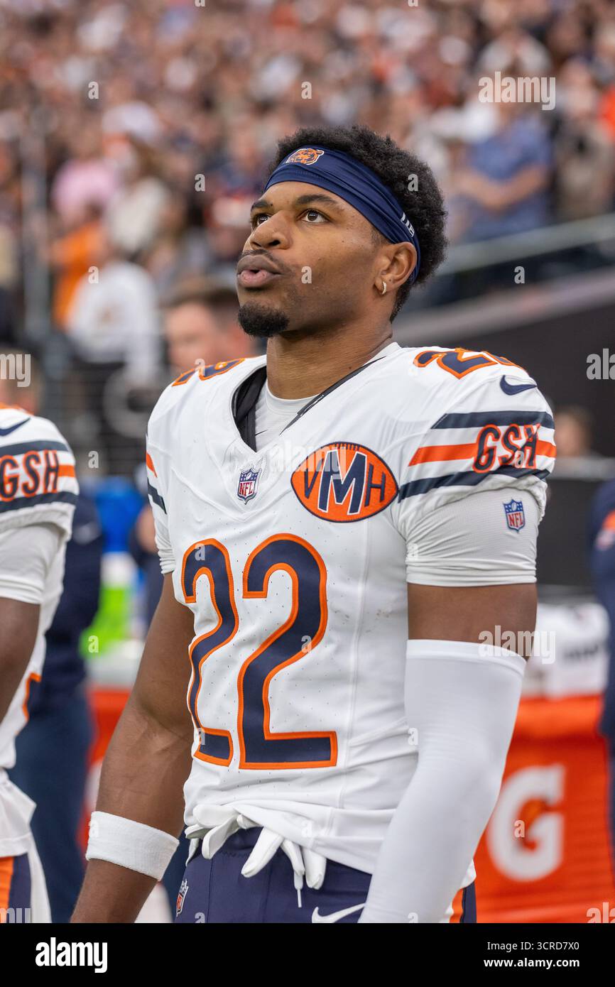 Chicago Bears defensive back Elijah Hicks (22) stands for the national ...