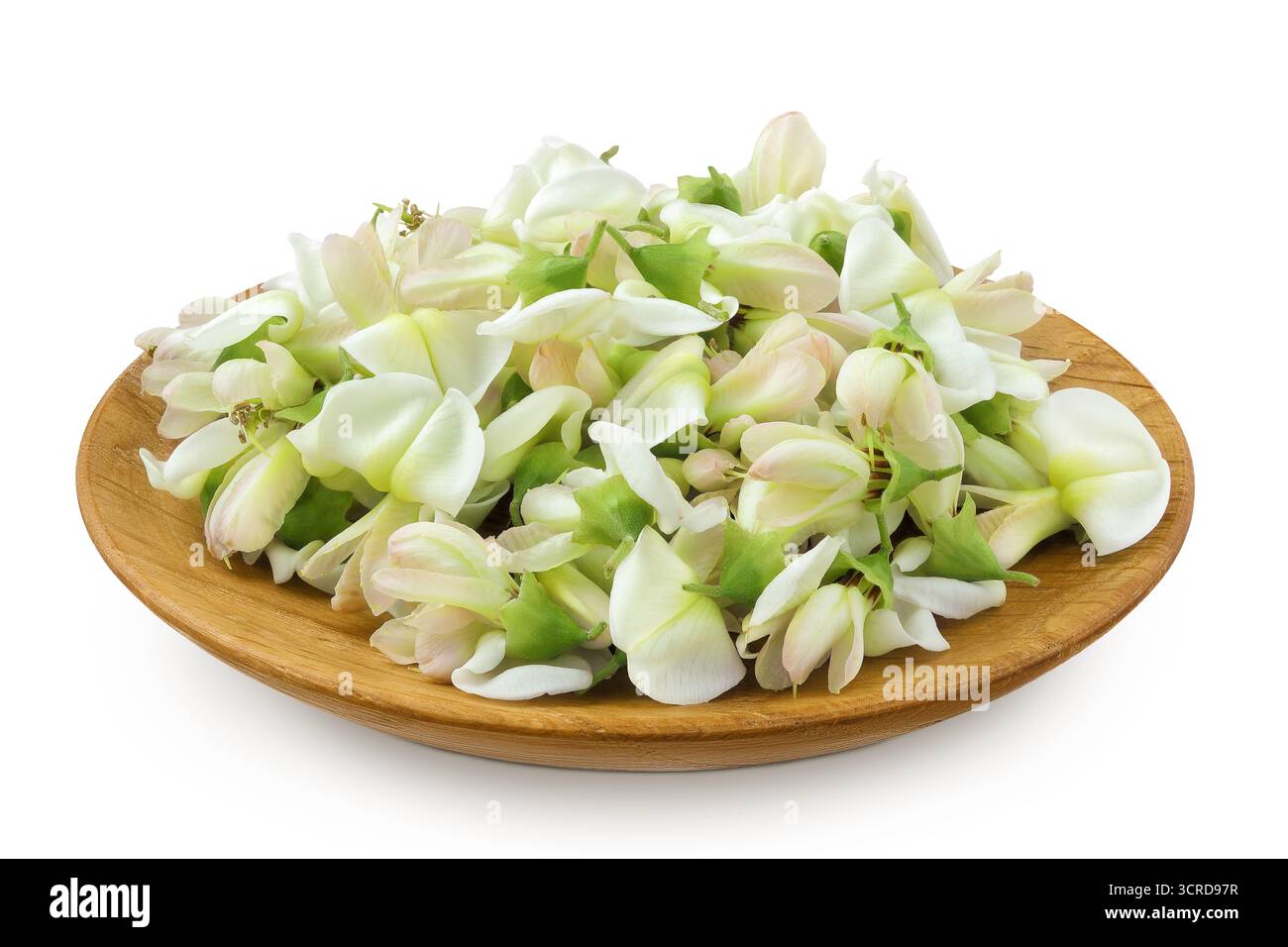 flowers of Sophora japonica or Styphnolobium japonicum in wooden bowl ...