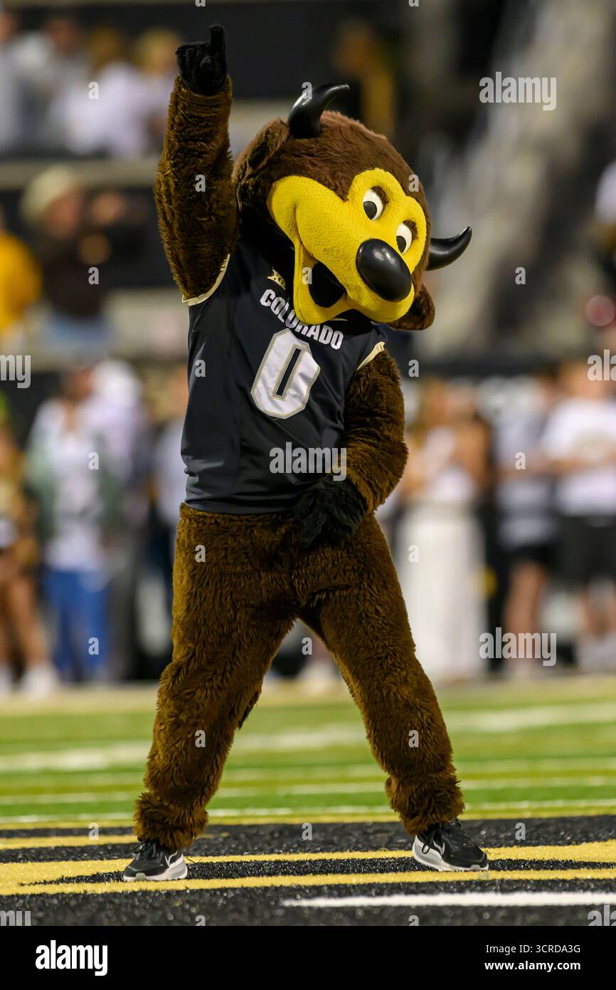 Colorado mascot Chip leads the crowd in a cheer before an NCAA college ...