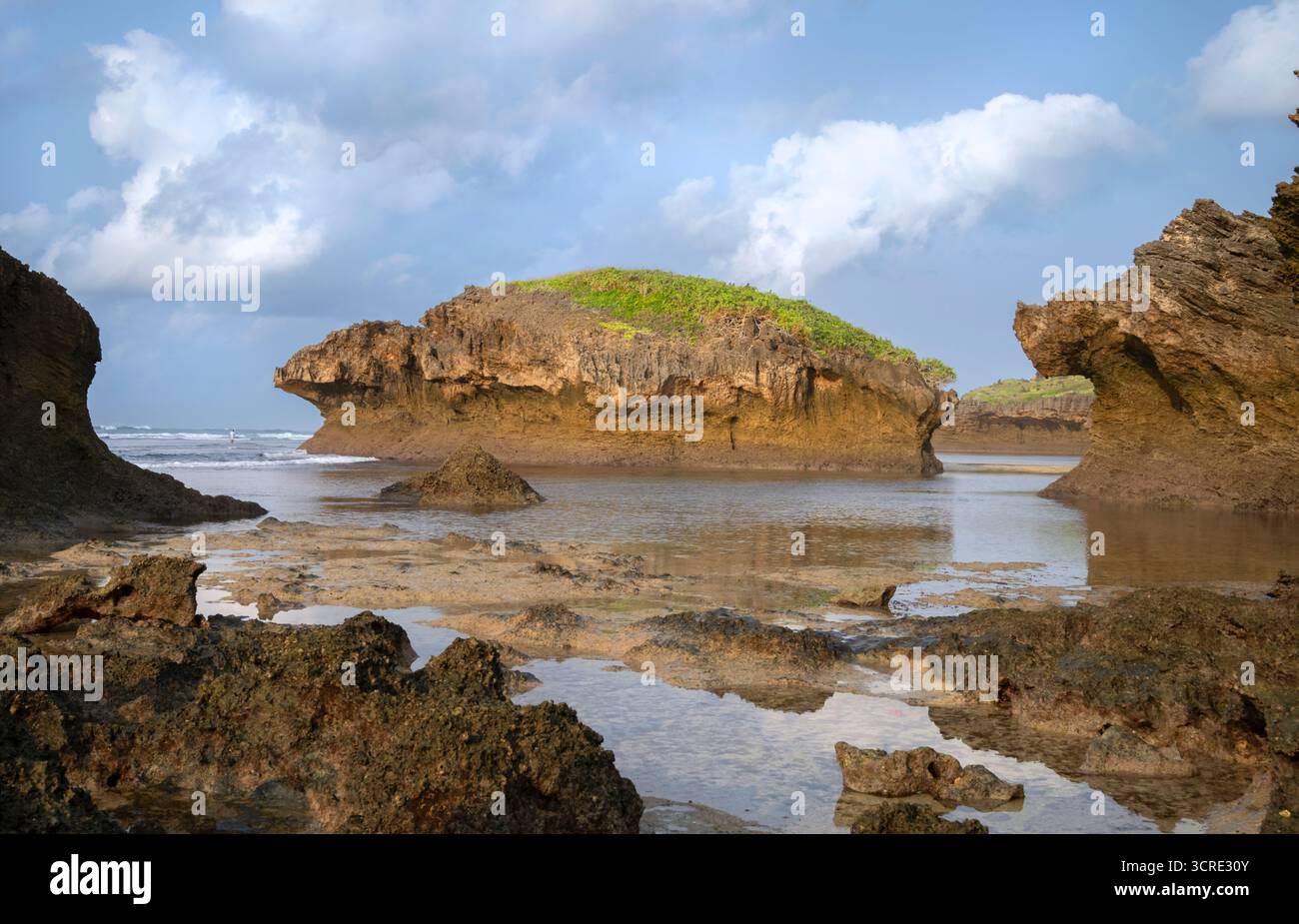 Rocky reefs in shallow water at low tide with blue ocean backdrop ...