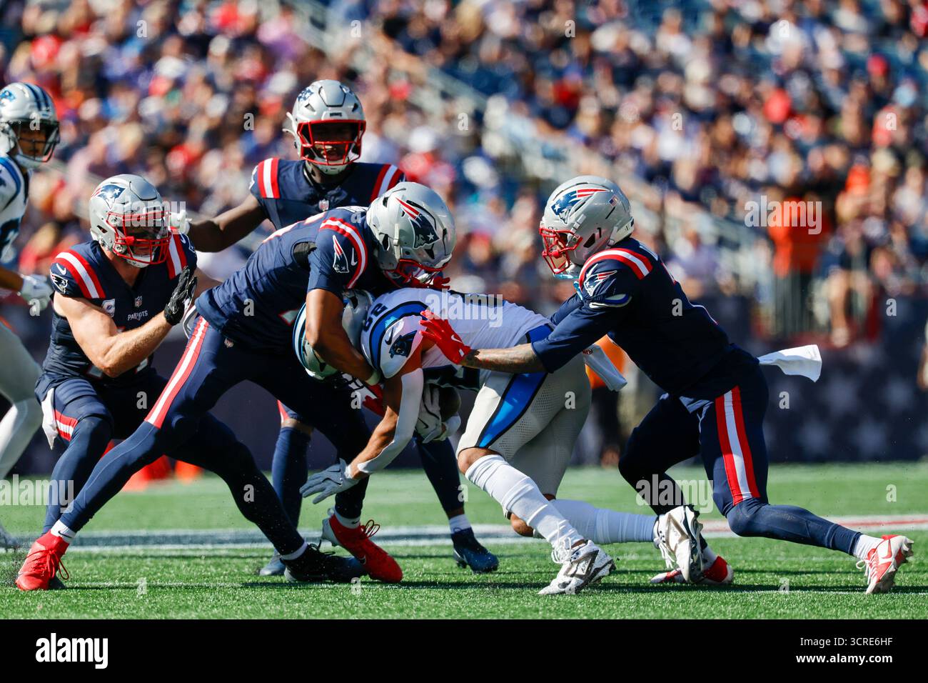 Carolina Panthers tight end Tommy Tremble (82) is tackeld by New ...