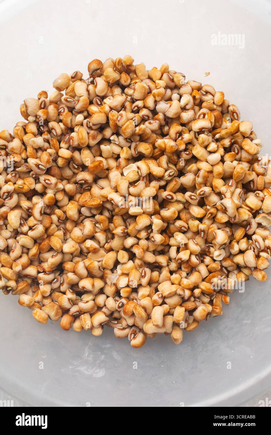 Overhead view of beans being washed, top view of honey beans being ...