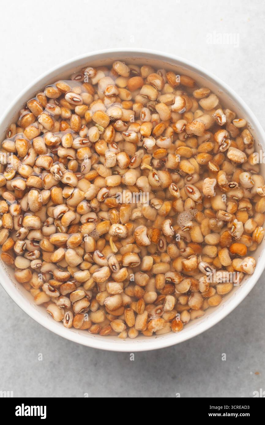 Overhead view of beans being washed, top view of honey beans being ...