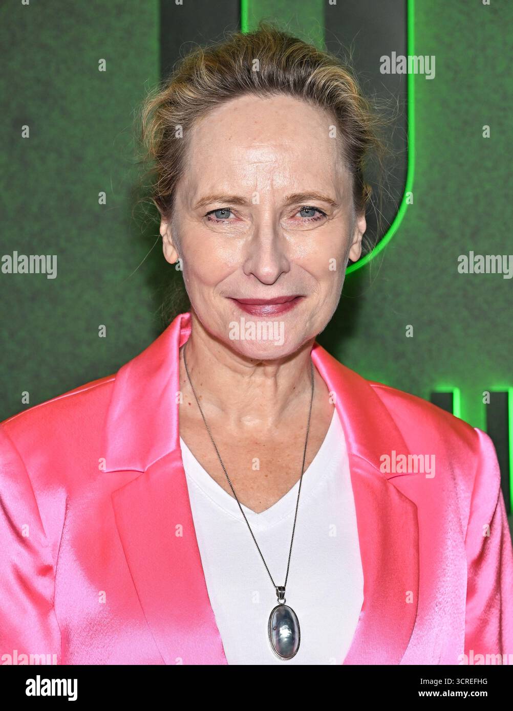 Laila Robins attends the world premiere of Netflix's "Monster: The Ed ...