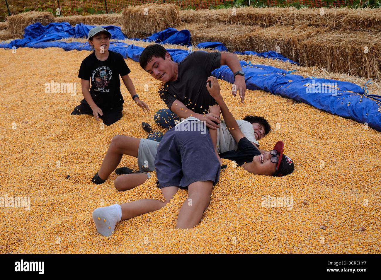 From right, Darren Tang, Jacob Liw and David Webster play fight inside ...